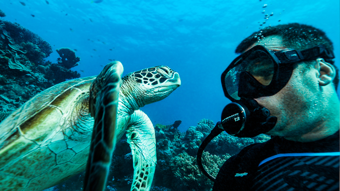 Photographing Marine Life - Do's & Don'ts - Oceanic Worldwide
