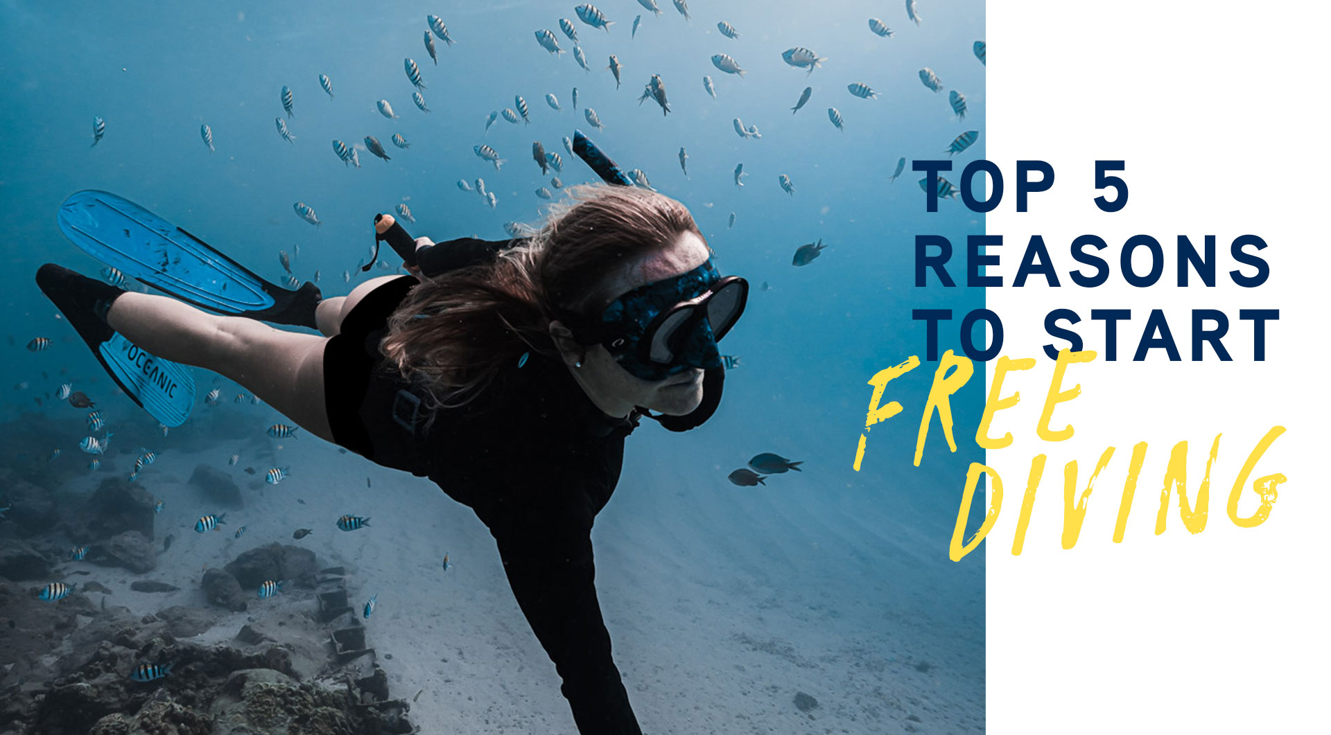 Top 5 Reasons to Start Freediving - Oceanic Worldwide
