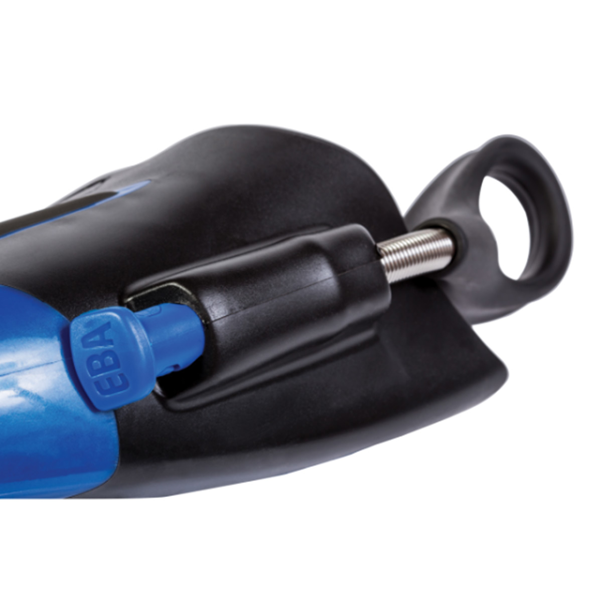 MANTA RAY - Oceanic Worldwide