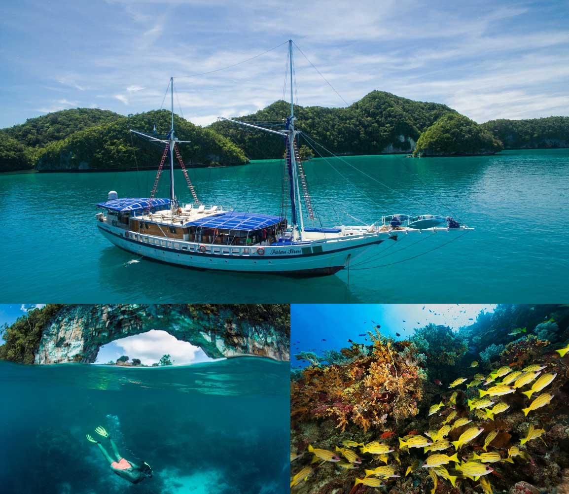 Oceanic's 50th Anniversary Sweepstakes - Oceanic Worldwide