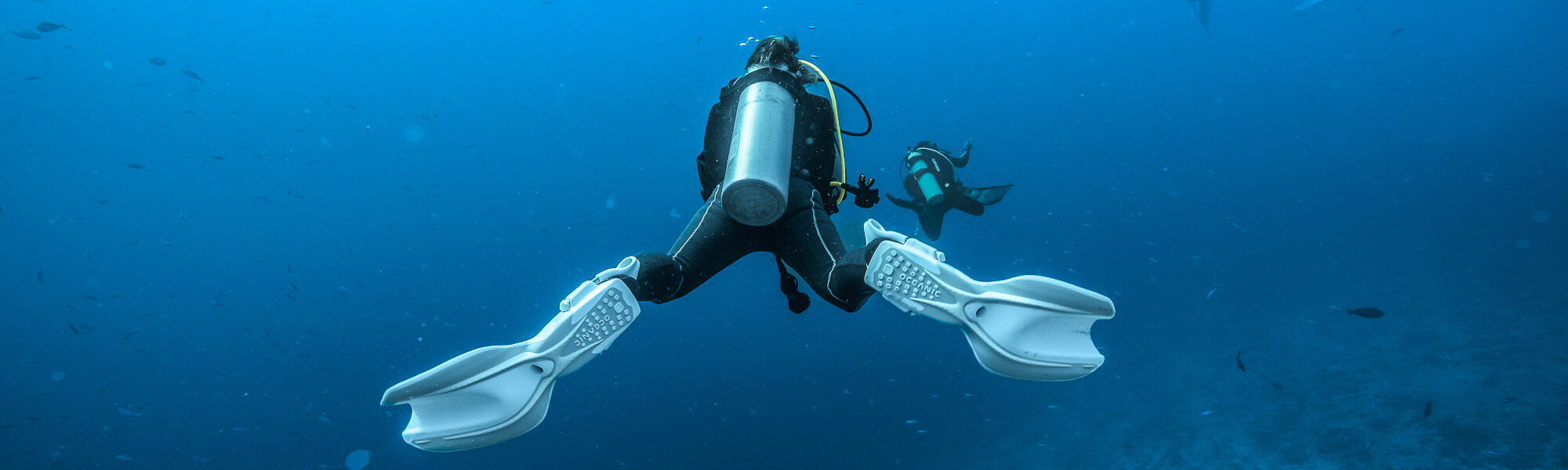 Contact Us - Oceanic Worldwide