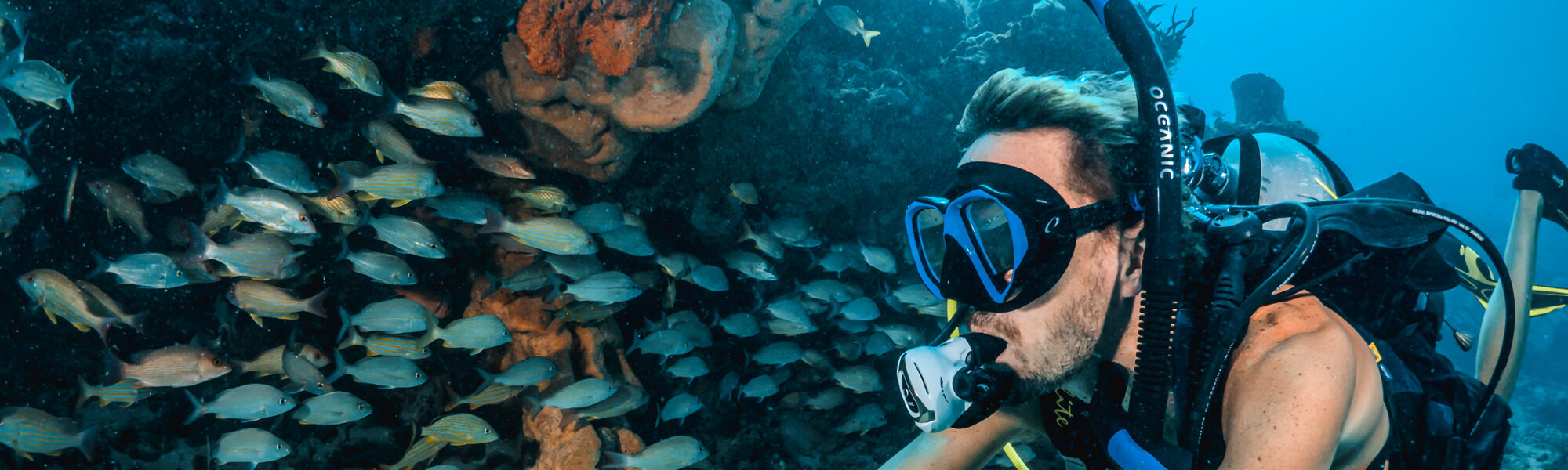 How is the Oceanic+ Dive Housing secured to the user? - Oceanic Worldwide