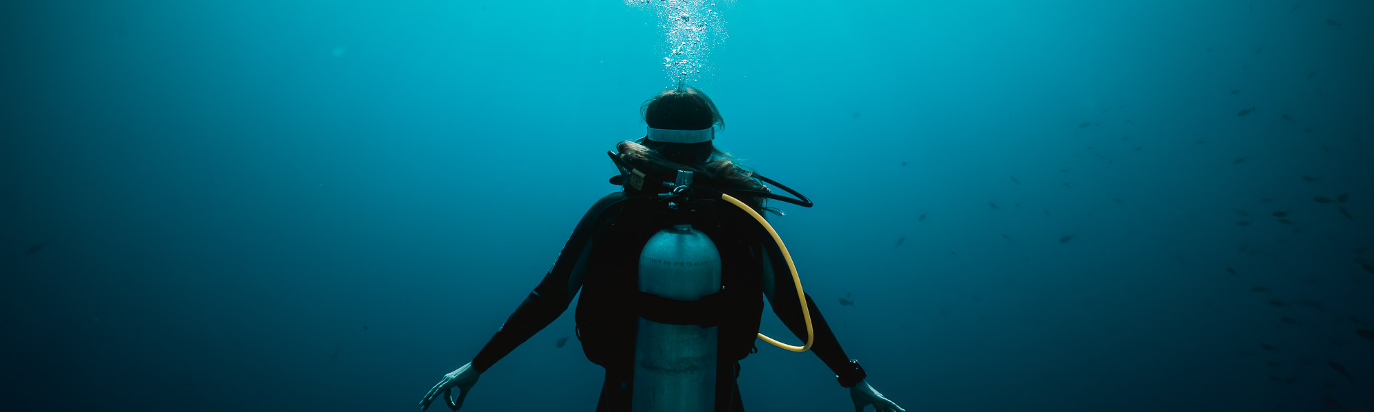 Scuba Diving BCD Equipment | Oceanic