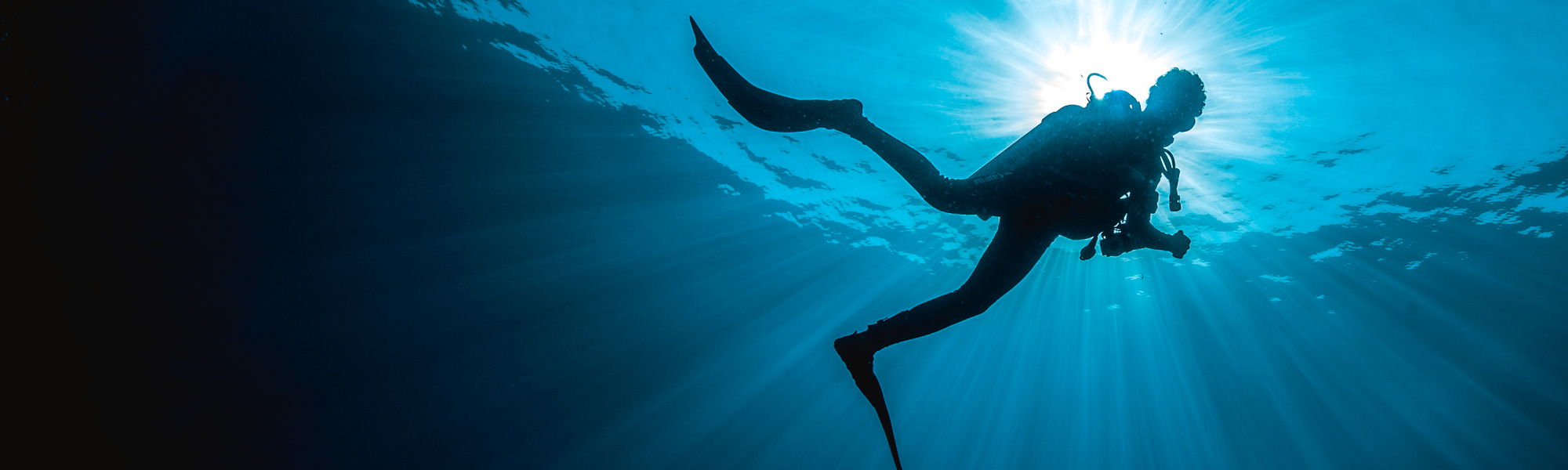 Fin Innovations - Oceanic Worldwide