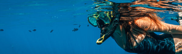 Snorkel Innovations - Oceanic Worldwide