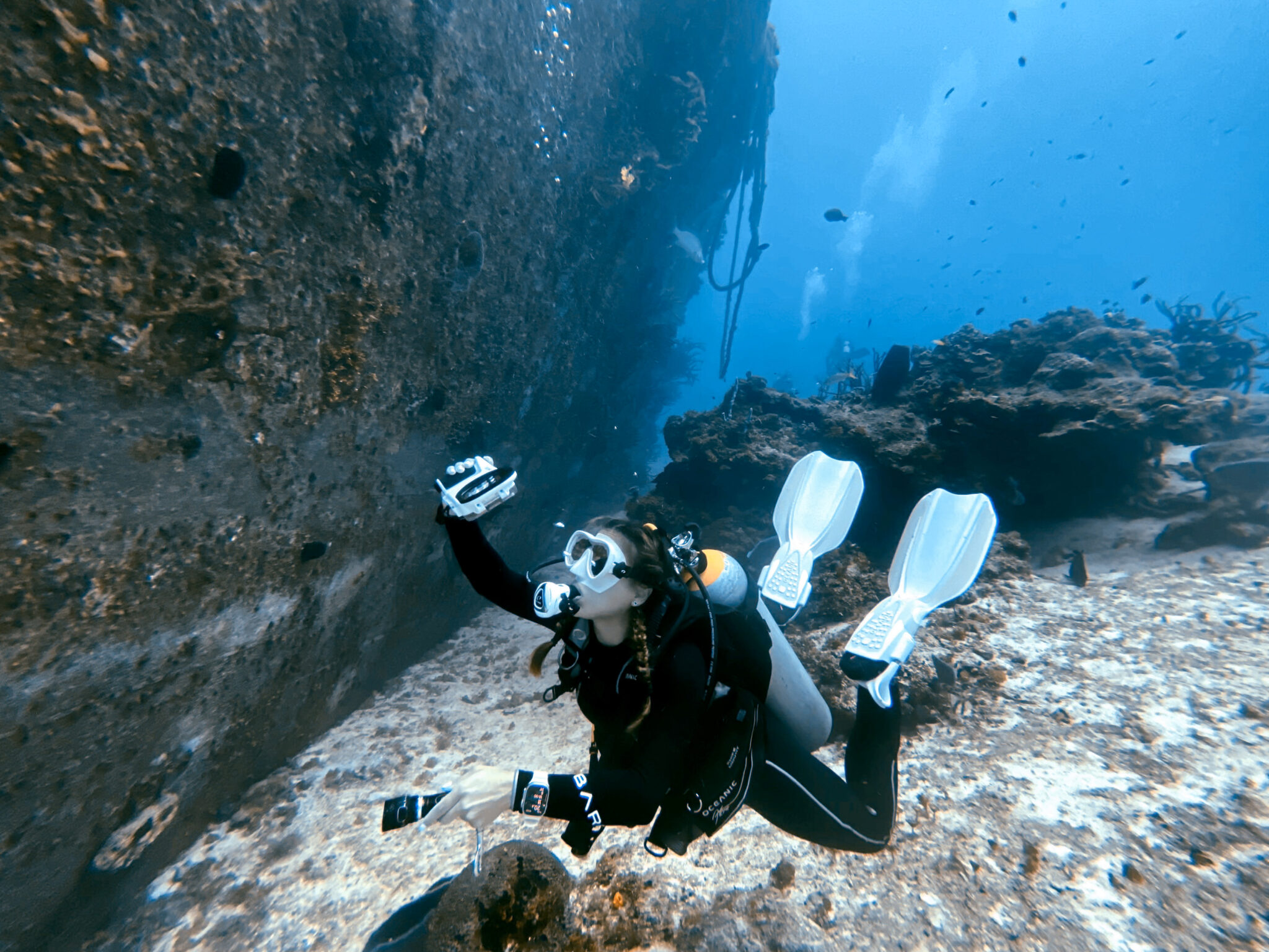 Scuba Diving, Snorkeling, and Freediving With Oceanic+/Apple Watch ...