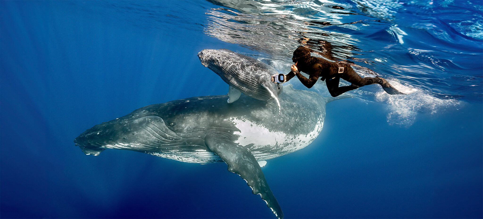 Oceanic Scuba Diving Equipment - Oceanic Worldwide