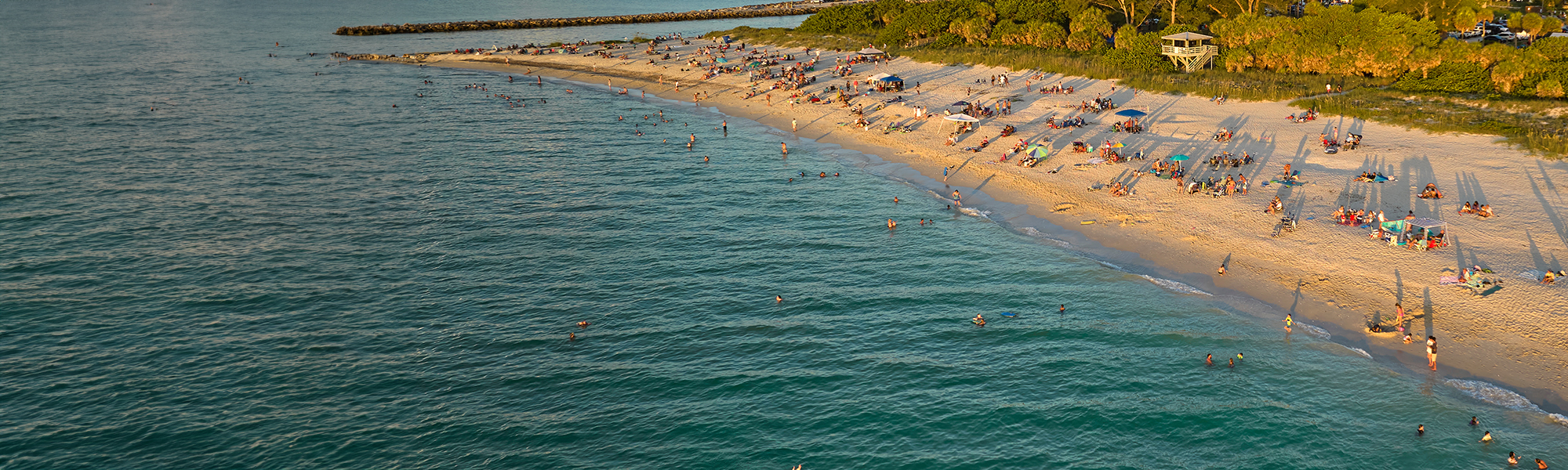 Oceanic+ Instructor Registration Form - Oceanic Worldwide